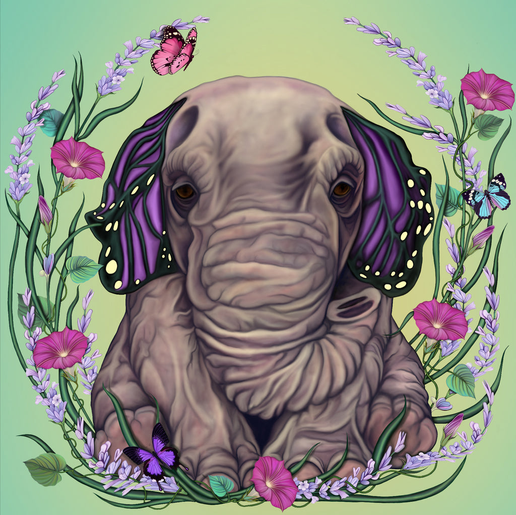 Lavender Butterphant Luster Print